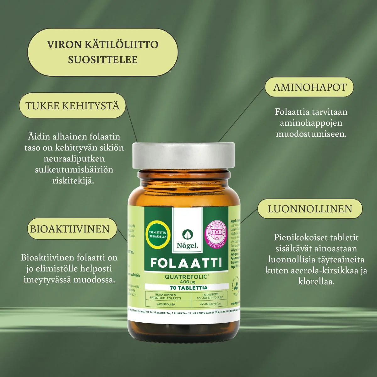Nogel Folaatti Quatrefolic 400 mikrog 70 tablettia – Nettiapteekki.fi